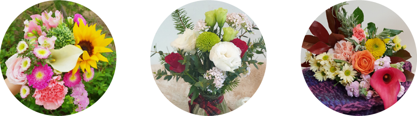 레베카 꽃 정기구독 (생화·제철꽃)